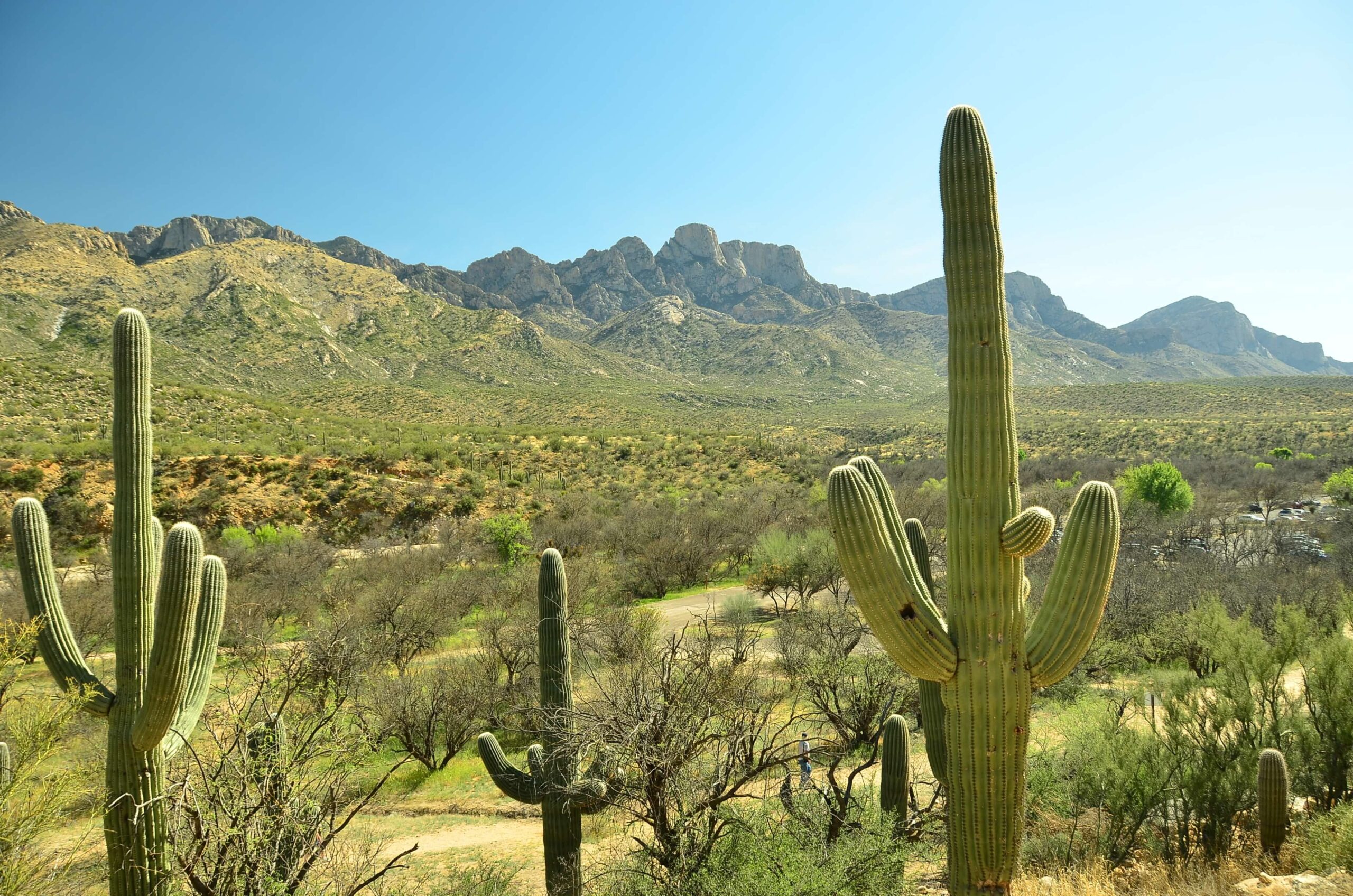 Uncovering the Market Value of Vacant Land - Rick Sack