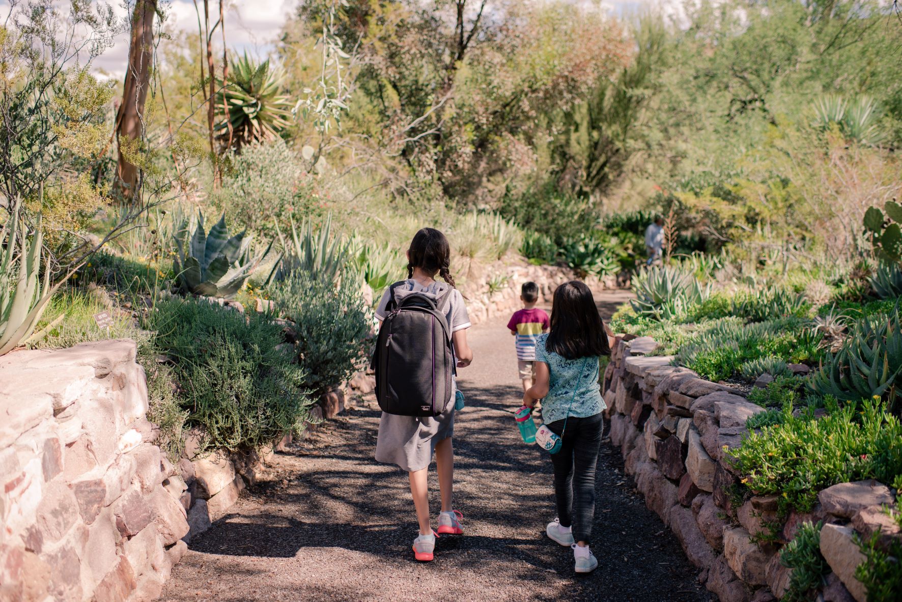 9 Best Nature Outings in Tucson - Rick Sack