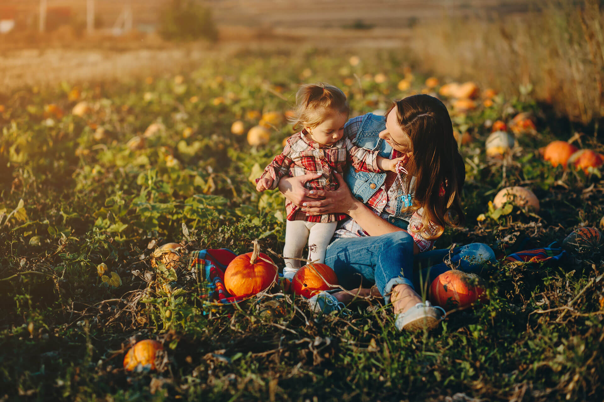 10 Activities to do this Fall in Tucson - Rick Sack