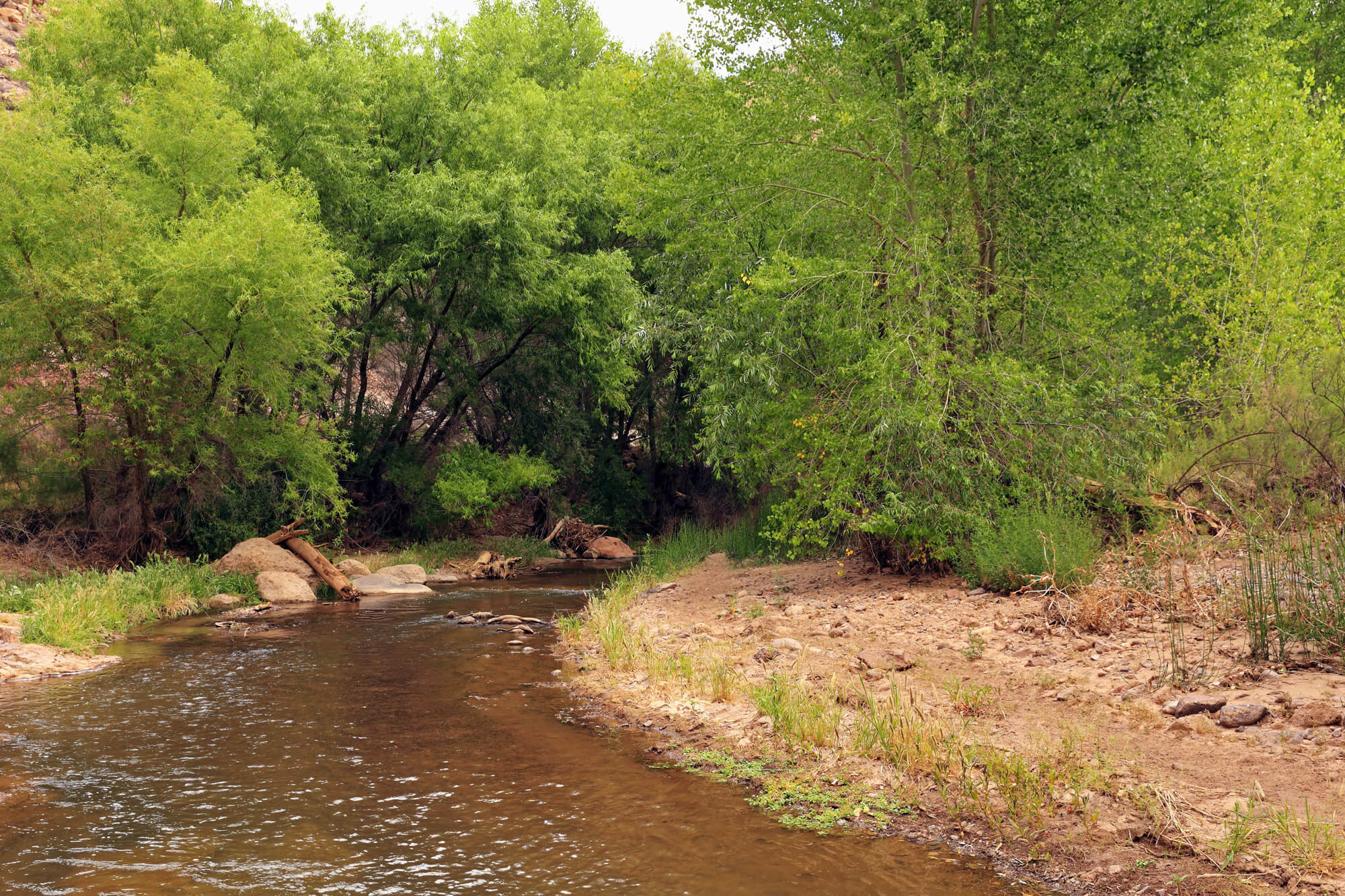 Part 1: What is Riparian Habitat? - Rick Sack