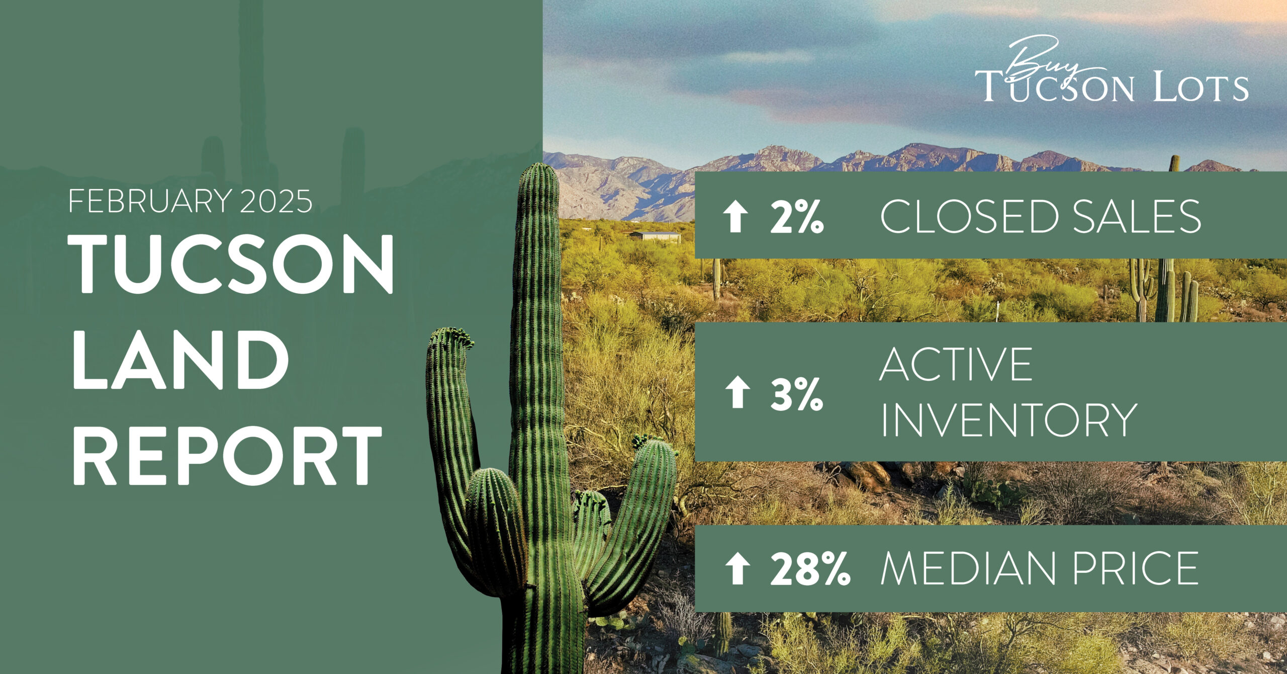 The Land Report Tucson – February 2025 - Rick Sack